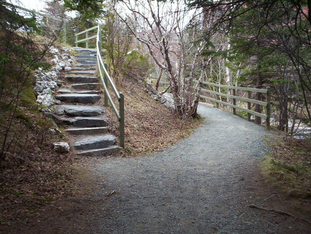 Embracing A New Path | Setting Points...