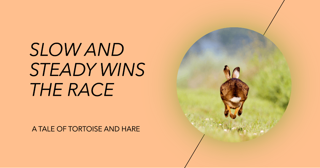 Two Paths To Financial Freedom - The Tortoise Or The Hare? | Setting ...
